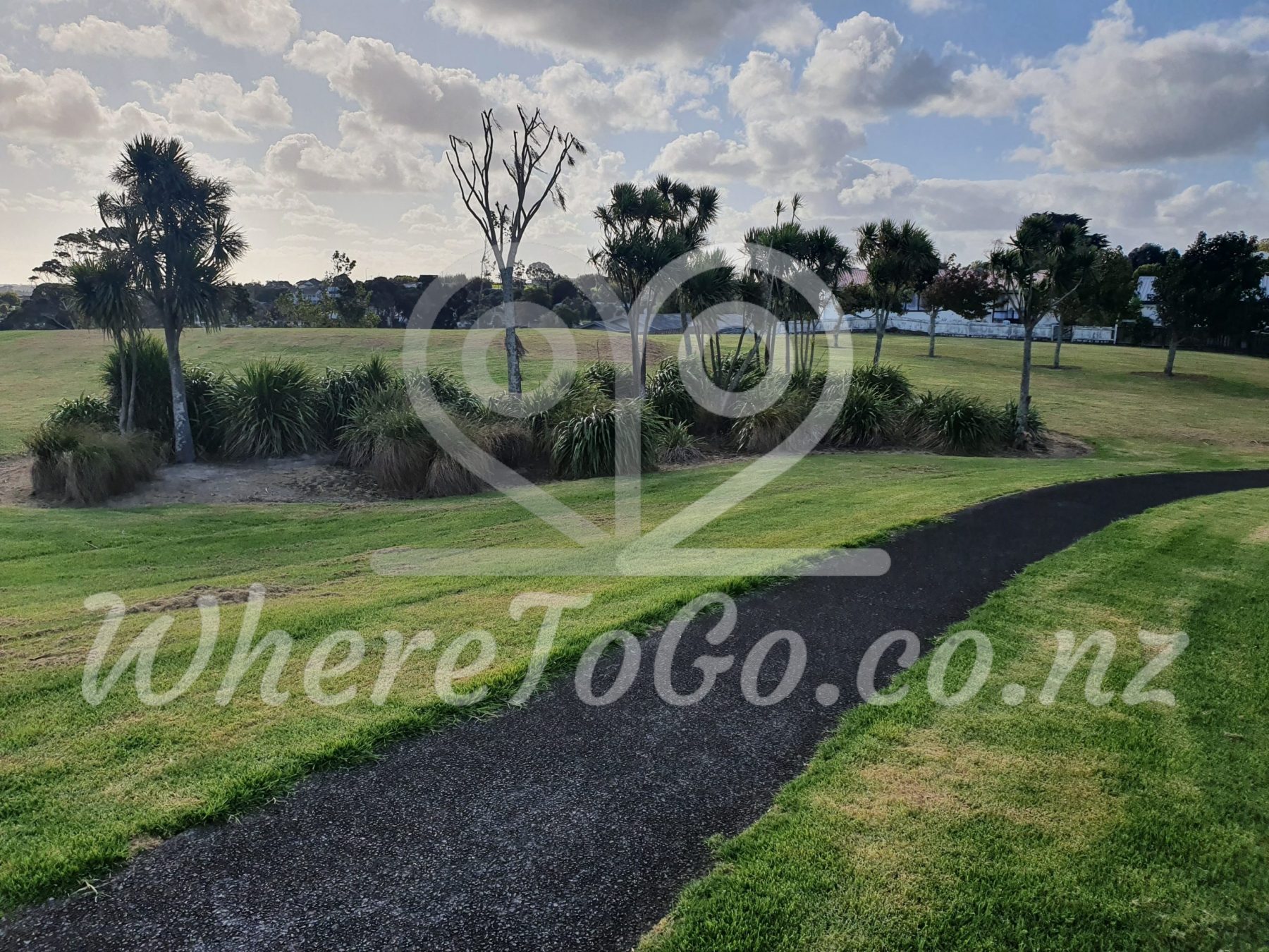 Fitzherbert Park Reserve - West Harbour - Where To Go