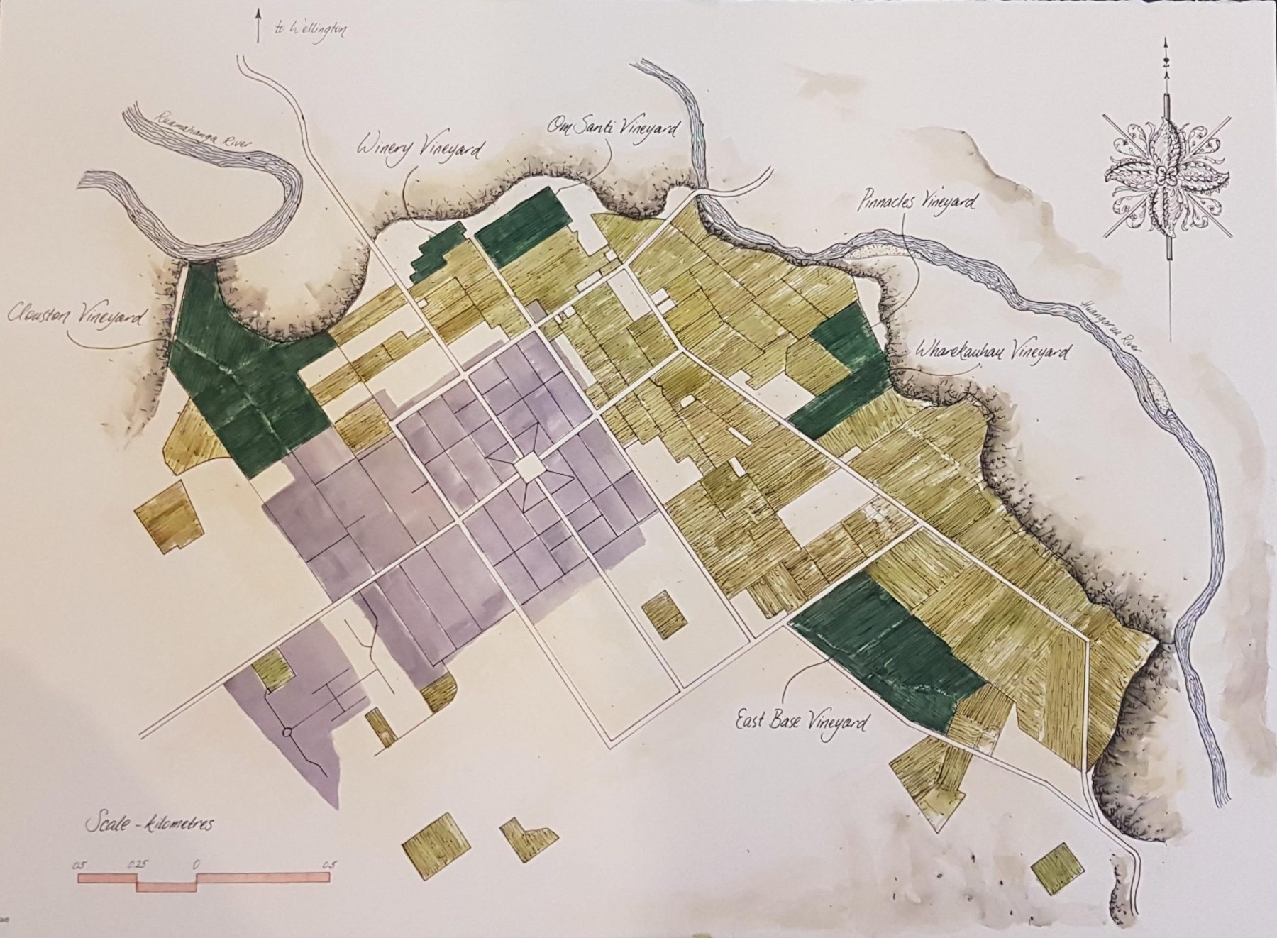 Palliser Estate Winery - Martinborough - Where To Go